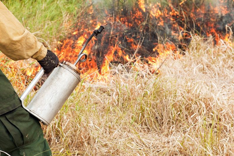 Valuing prescribed fire | Stanford Report