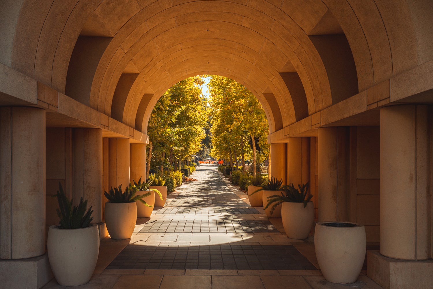 Furthering diversity and racial justice at Stanford | Stanford Report