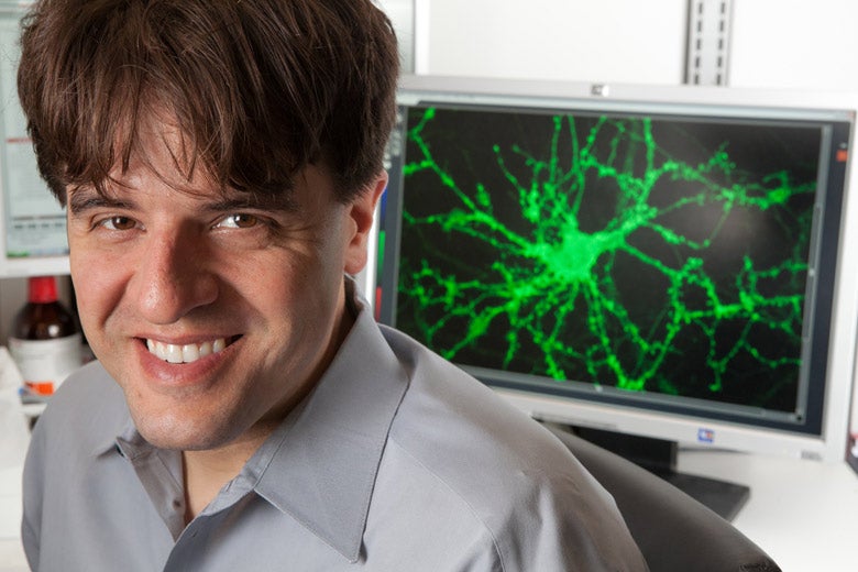 Three Stanford professors honored by Breakthrough Prize Foundation ...