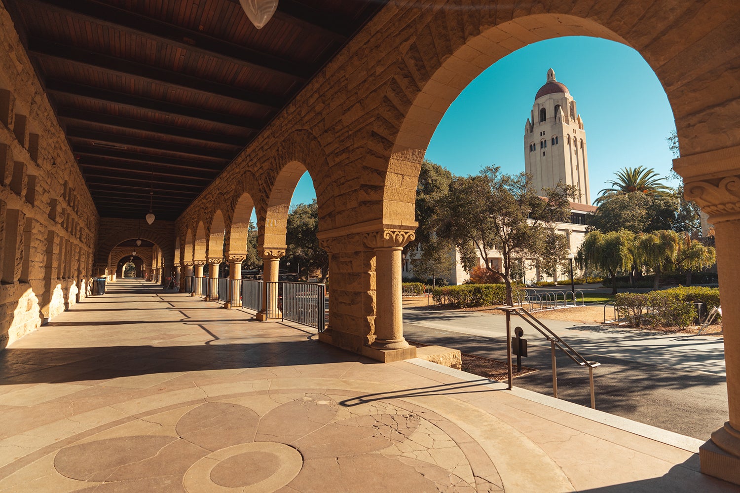 Seven Stanford faculty elected to National Academy of Sciences ...
