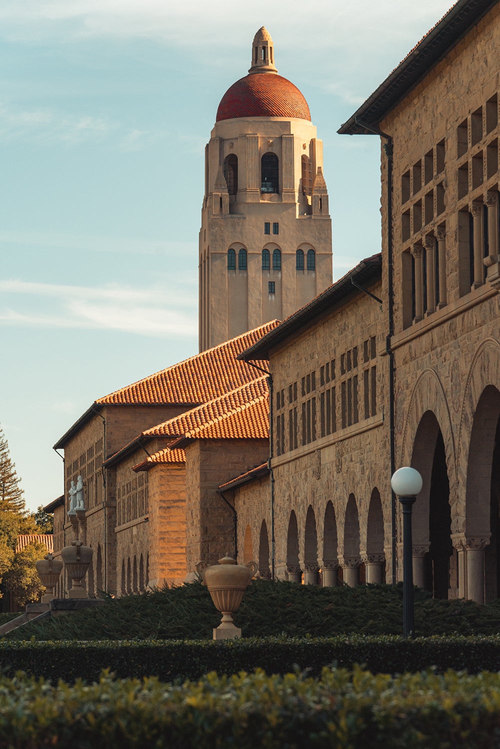 The status of Theta Delta Chi (TDX) fraternity | Stanford Report