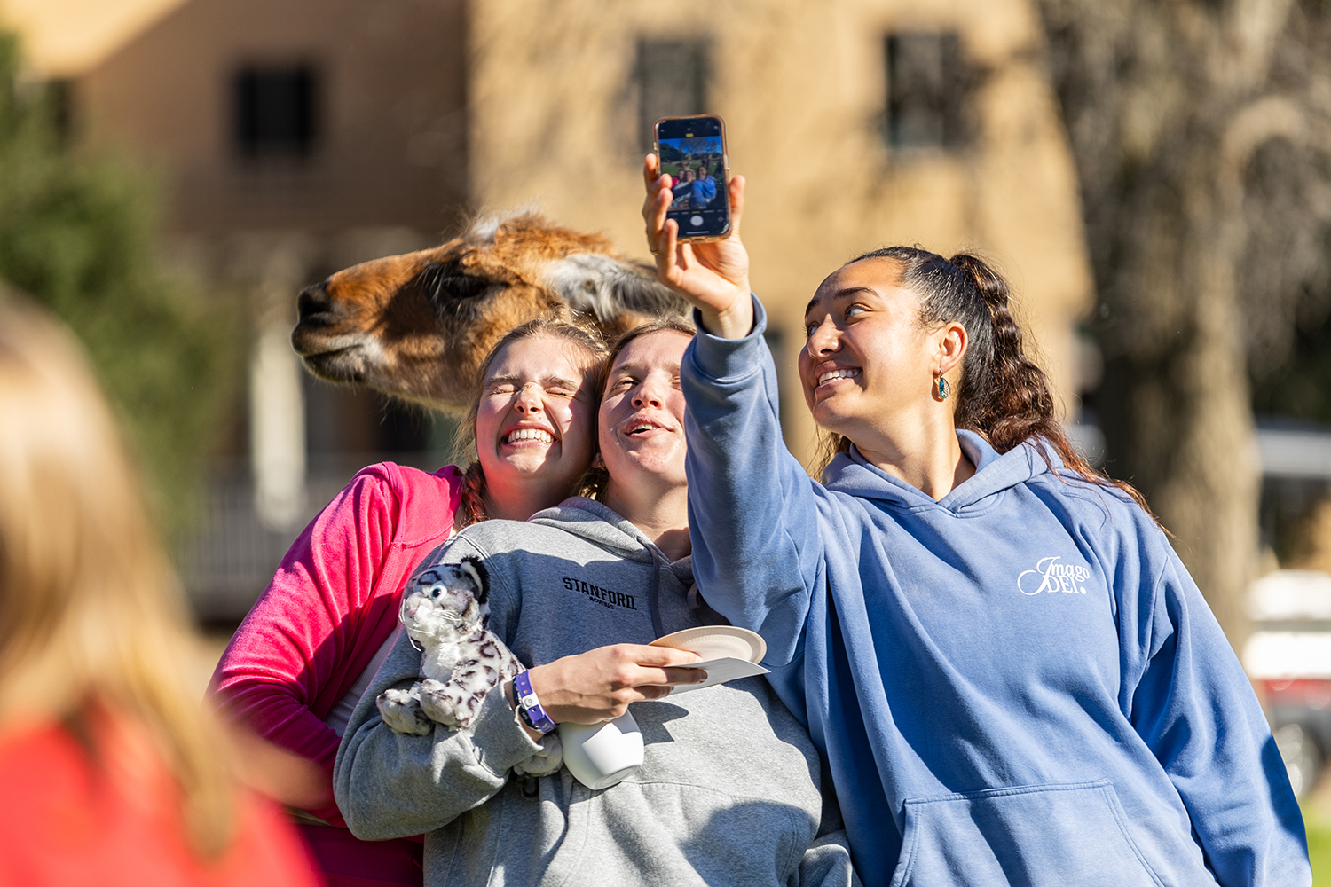Snow Day brings winter cheer to campus | Stanford Report
