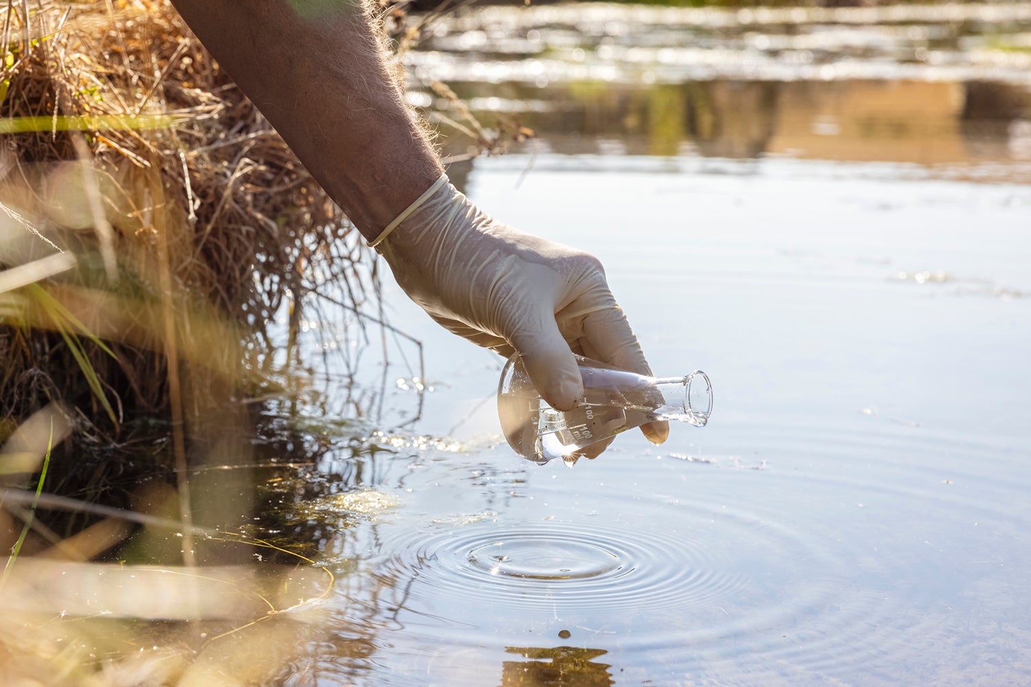 New technology uses ordinary sunlight to disinfect drinking water ...