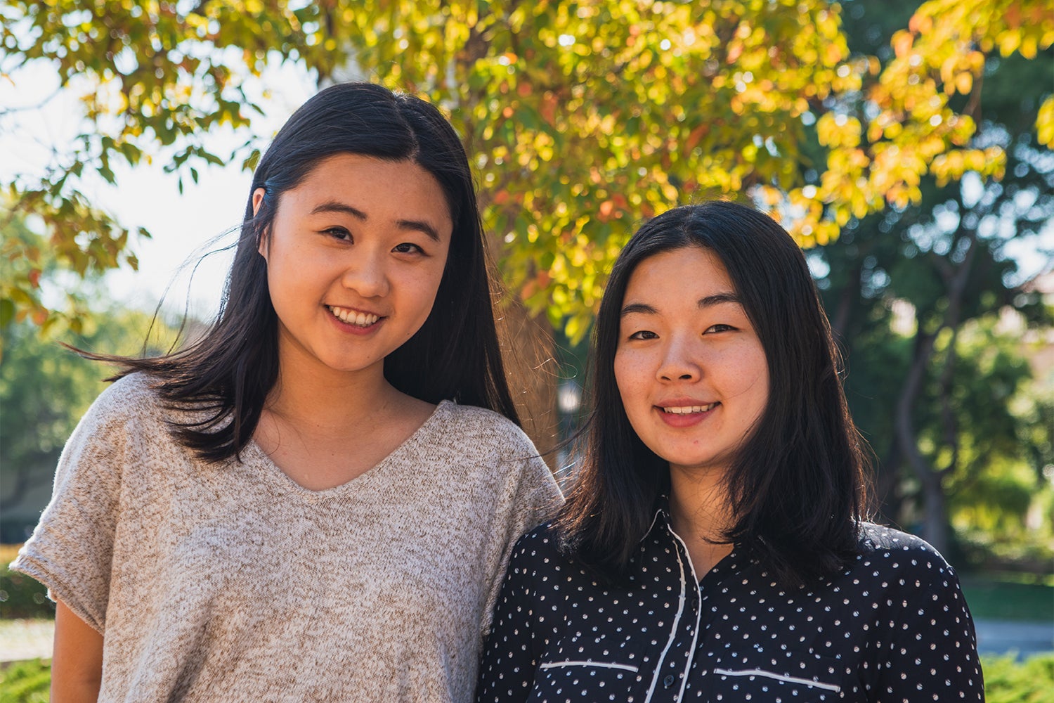Stanford Honors in the Arts seniors present capstone projects to the ...