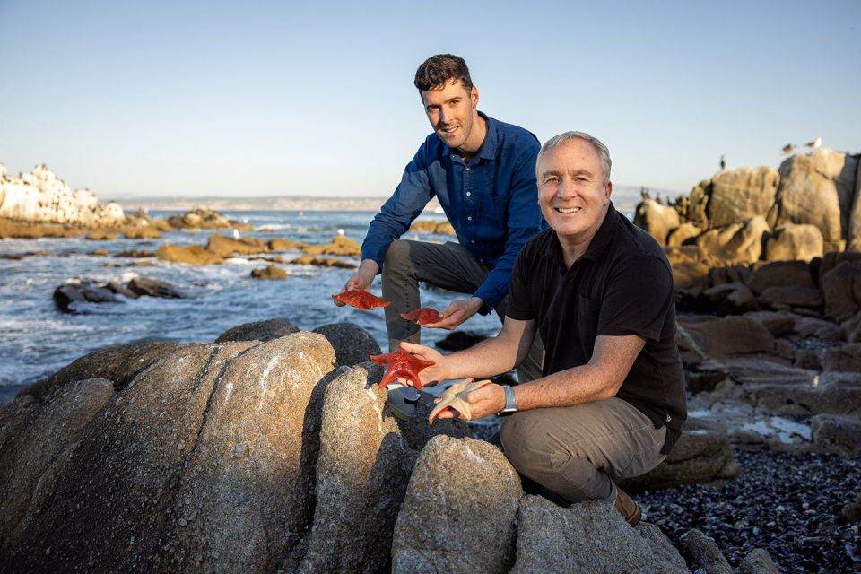 Study reveals location of starfish’s head | Stanford Report