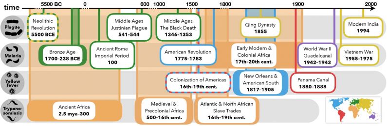 How diseases and history are intertwined | Stanford Report
