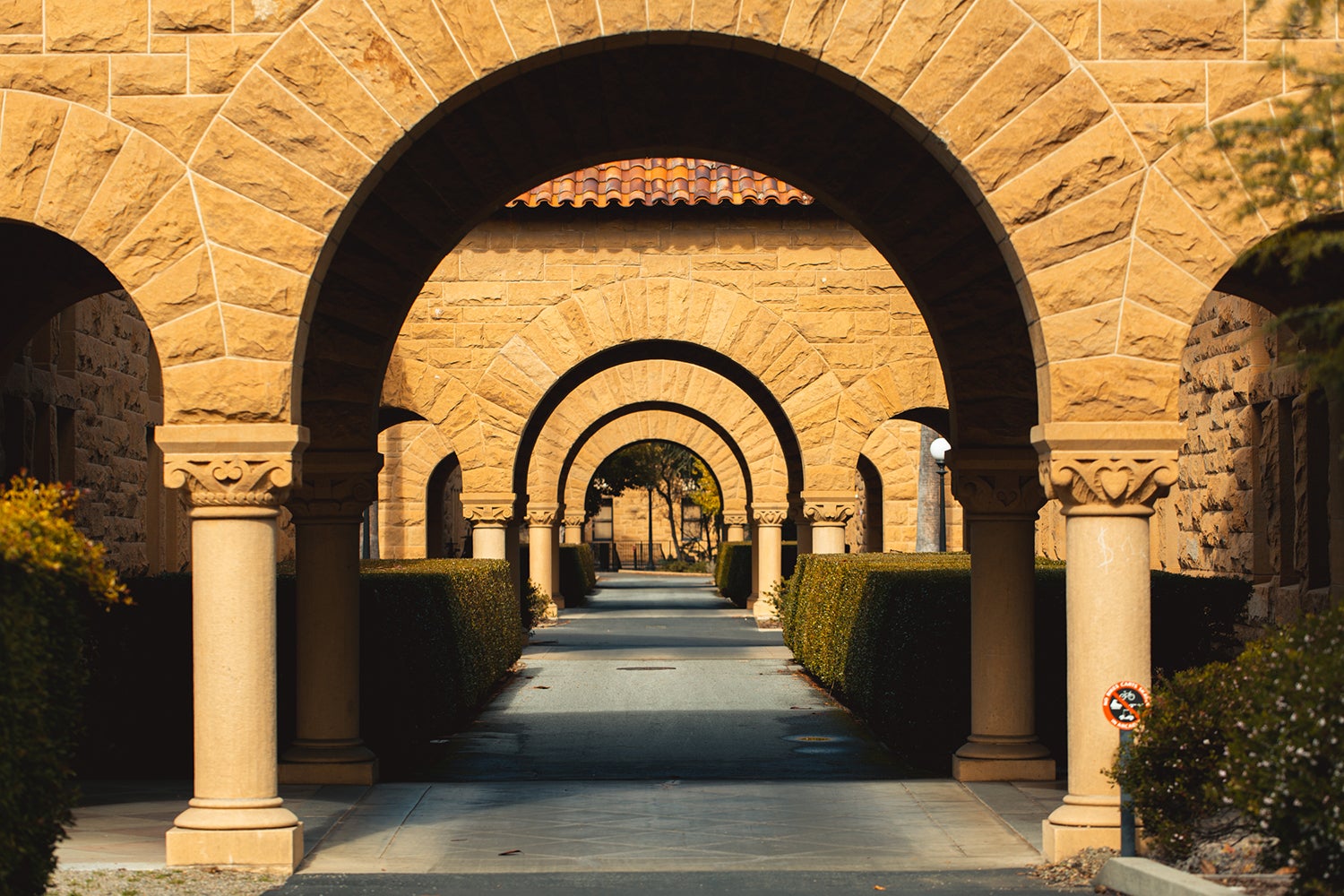Stanford Diversity, Equity and Inclusion Survey now open | Stanford Report