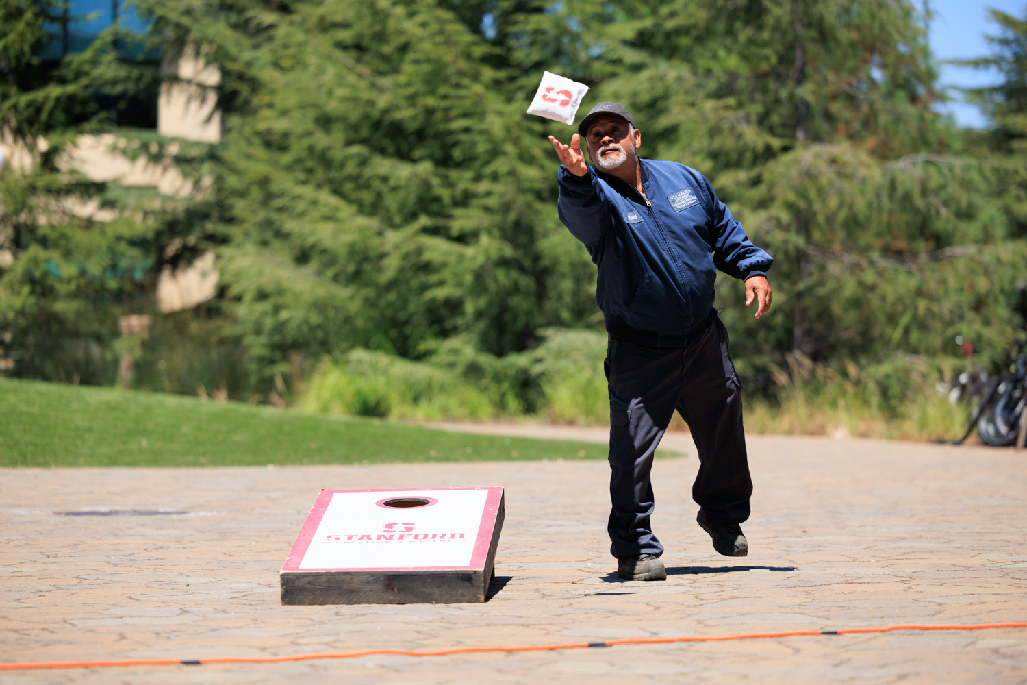 Cardinal Walk in photos | Stanford Report