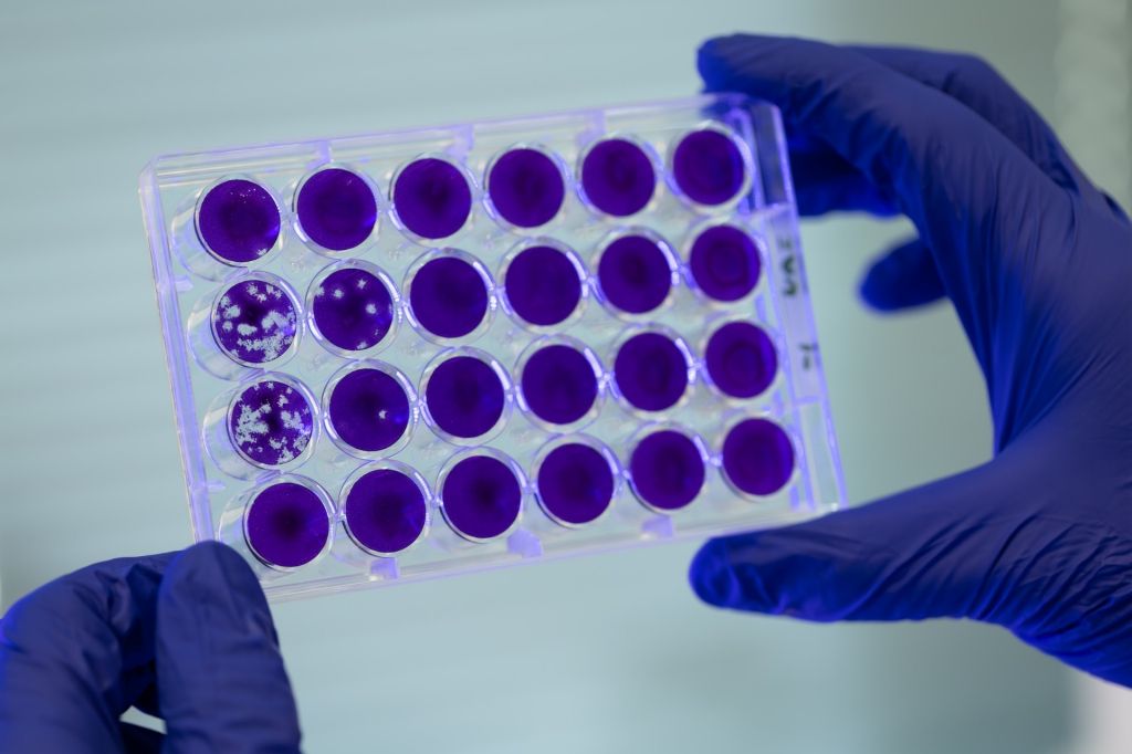 Researchers explore new approach to multi-virus drug development ...