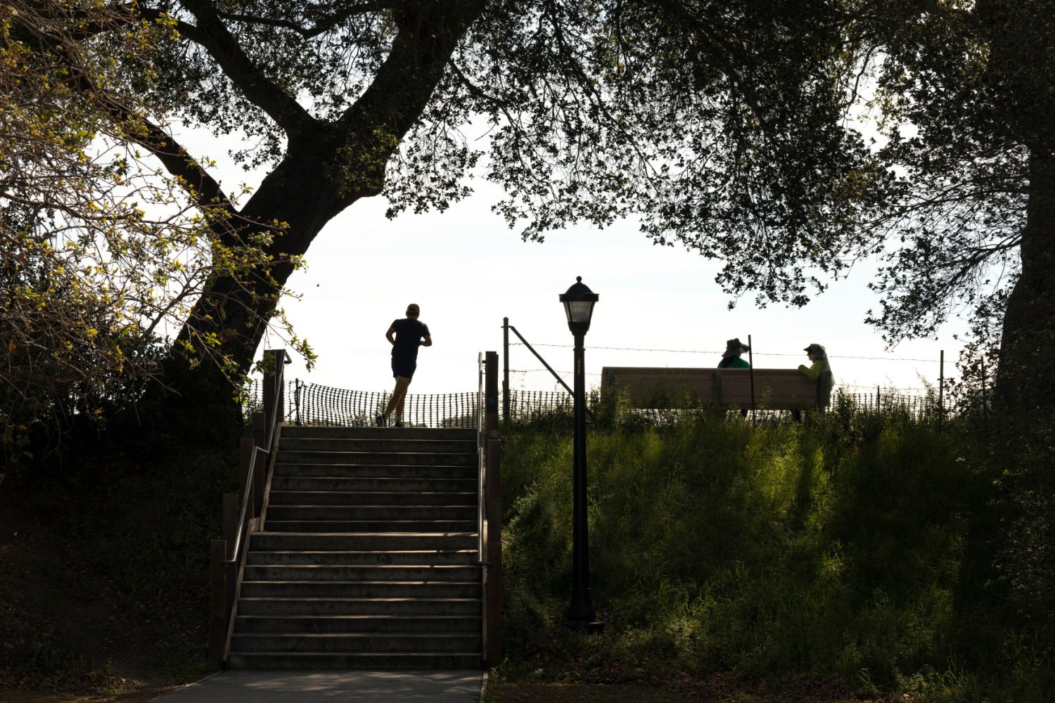 Healthy Minds Study is first step in boosting campus mental health ...