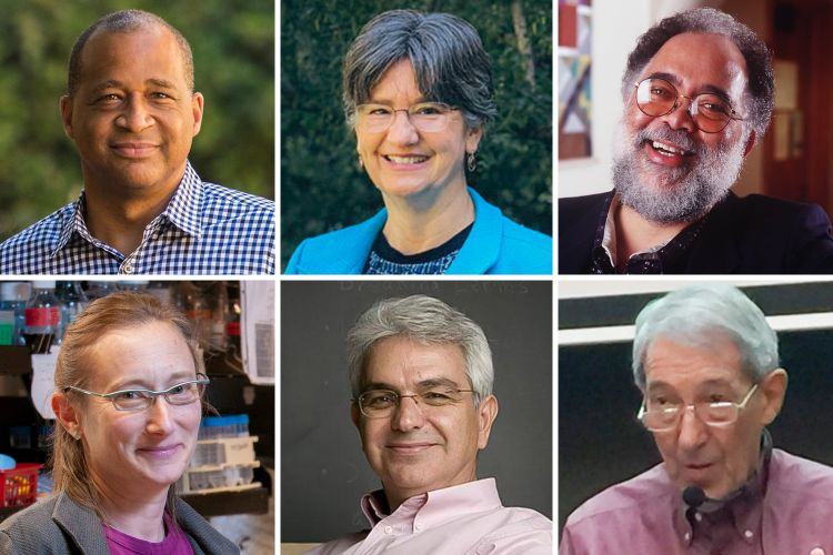 Six faculty elected to National Academy of Sciences | Stanford Report