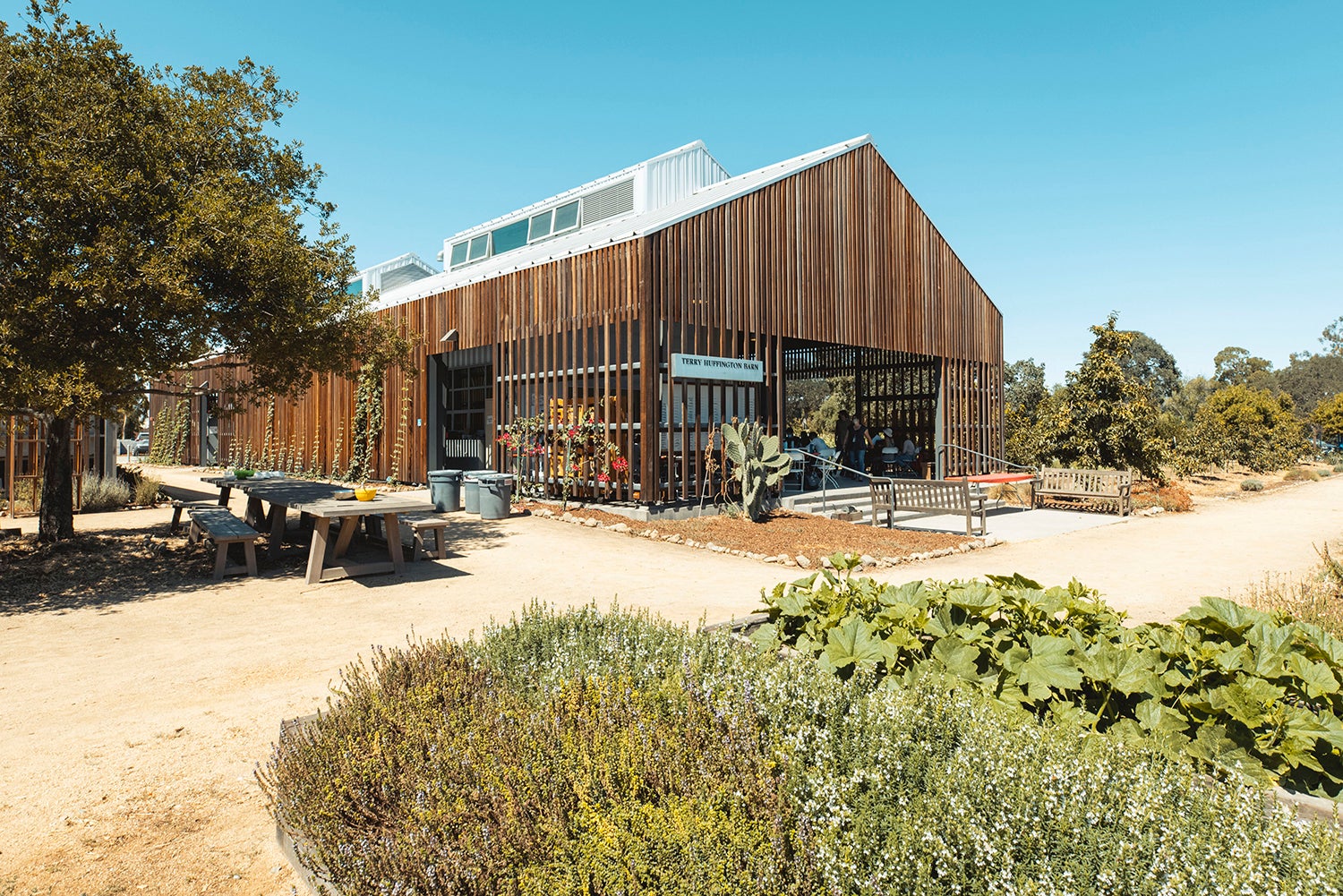 Living Laboratory Fellowship for Sustainability launches | Stanford Report