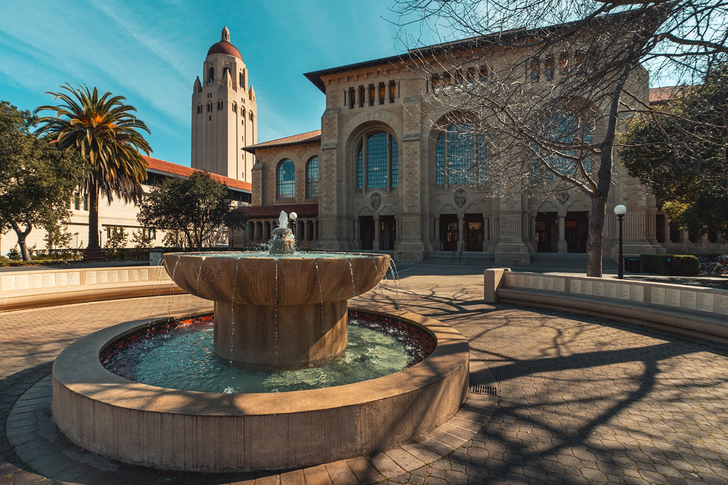 New Stanford Libraries division supports scholars’ data needs ...