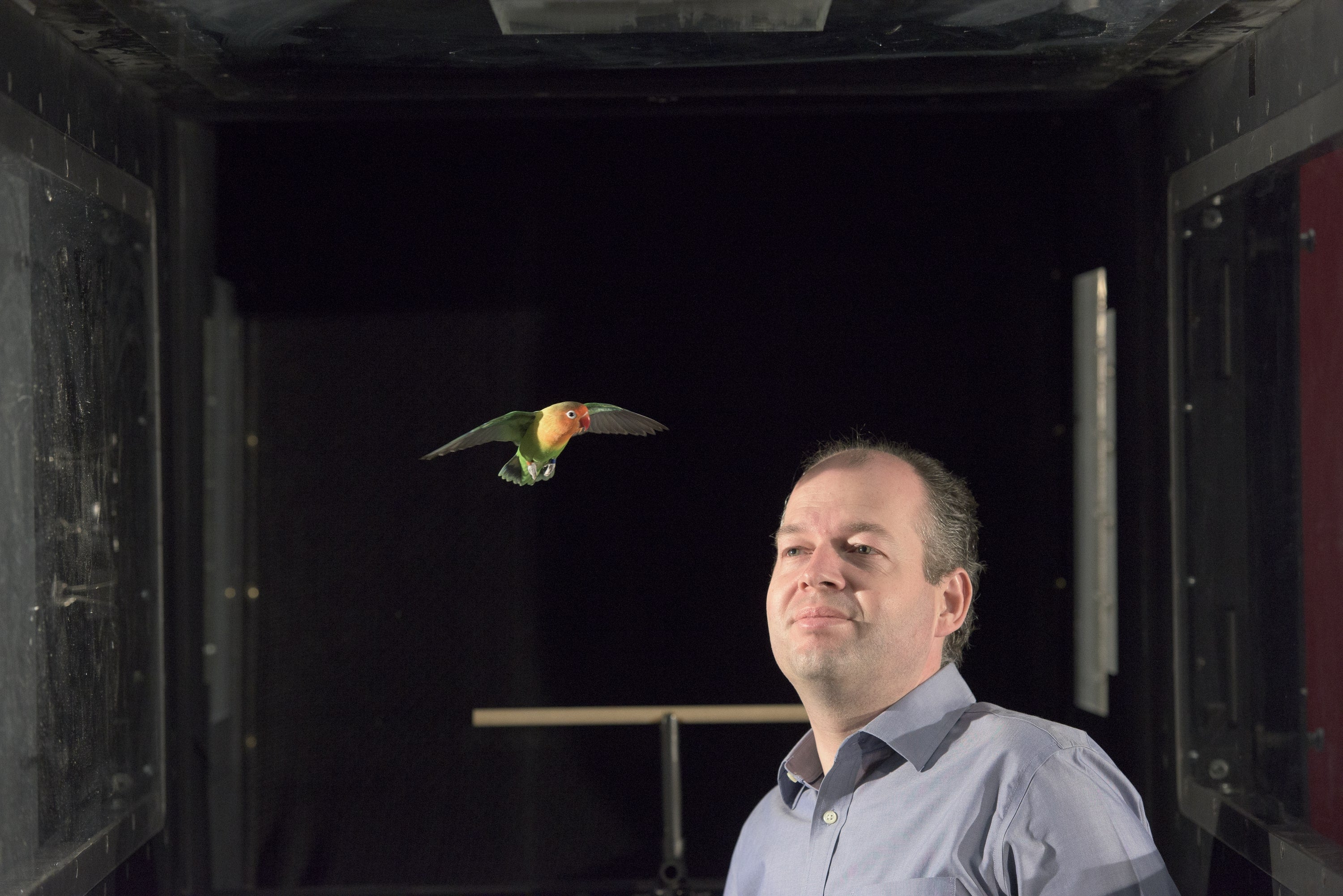 Stanford's Robot Makers: David Lentink | Stanford Report