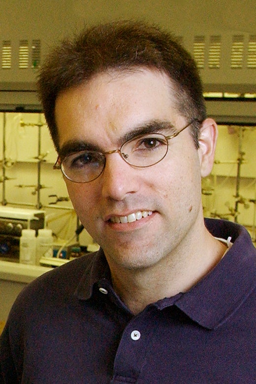 Stanford provost announces Bass University Fellows in Undergraduate ...