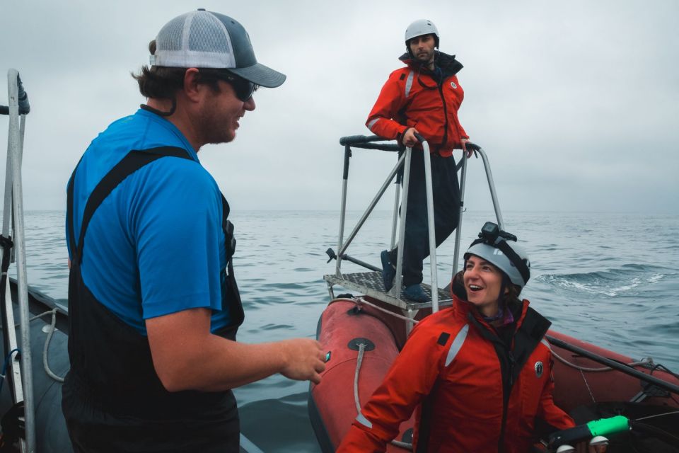 Studying whales with high-tech tools | Stanford Report