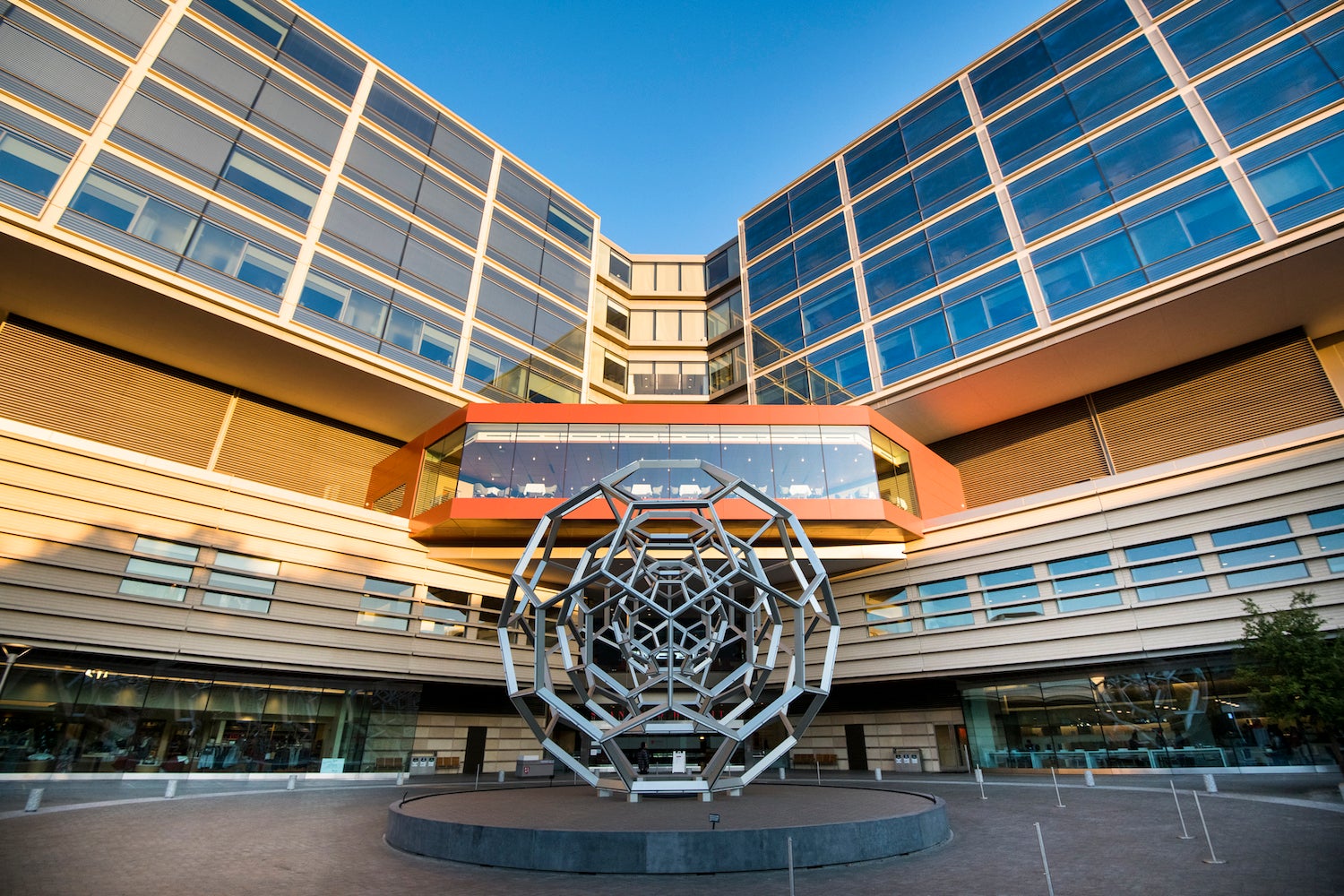 At Stanford 2019: The year in review | Stanford Report