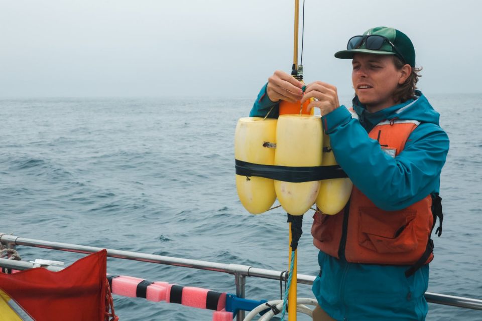Studying whales with high-tech tools | Stanford Report