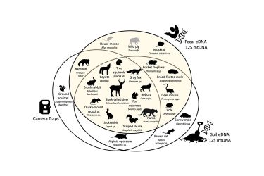 Forecasting ecosystem changes through DNA | Stanford Report