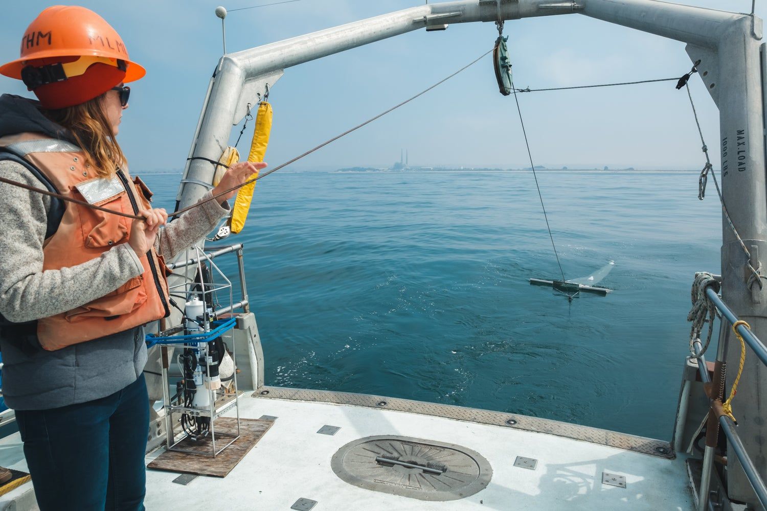Studying whales with high-tech tools | Stanford Report