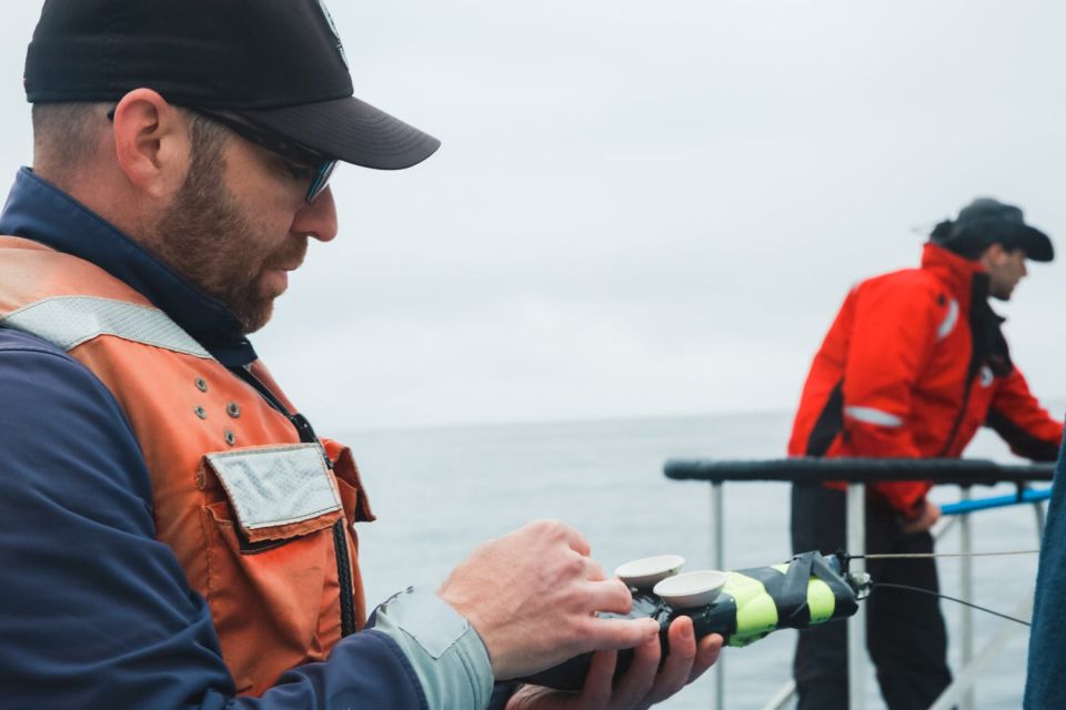 Studying whales with high-tech tools | Stanford Report