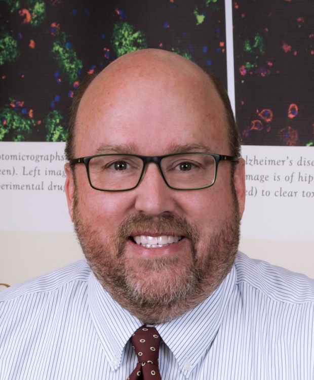 Customizable tool helps identify diseased cells | Stanford Report