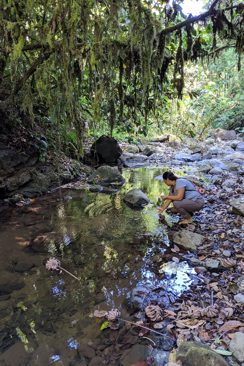 Healthy rivers, healthy people | Stanford Report