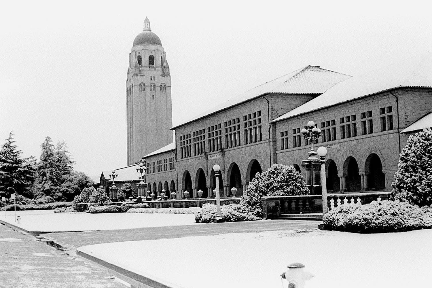 Winter wonderland | Stanford Report