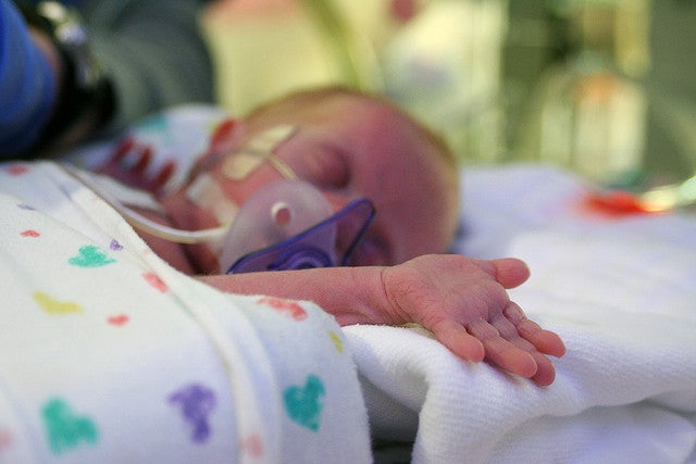 Predicting, preventing preterm births | Stanford Report