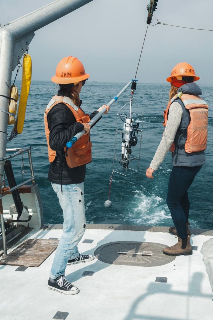 Studying whales with high-tech tools | Stanford Report