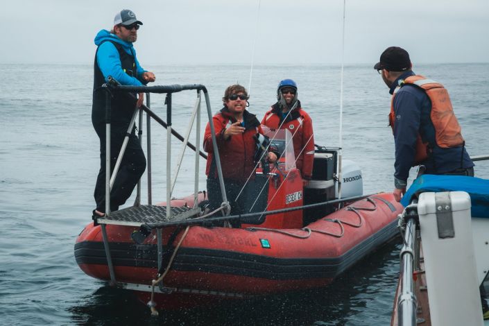 Studying whales with high-tech tools | Stanford Report