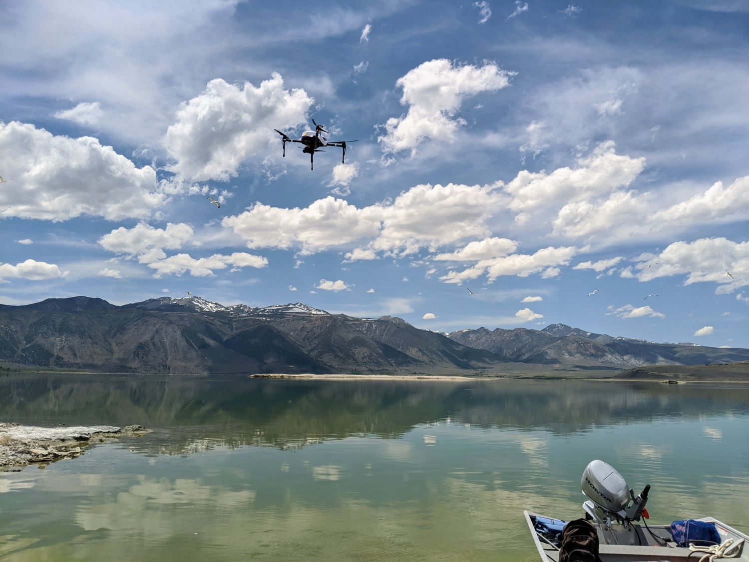 Multi-drone system autonomously surveys penguin colonies | Stanford Report