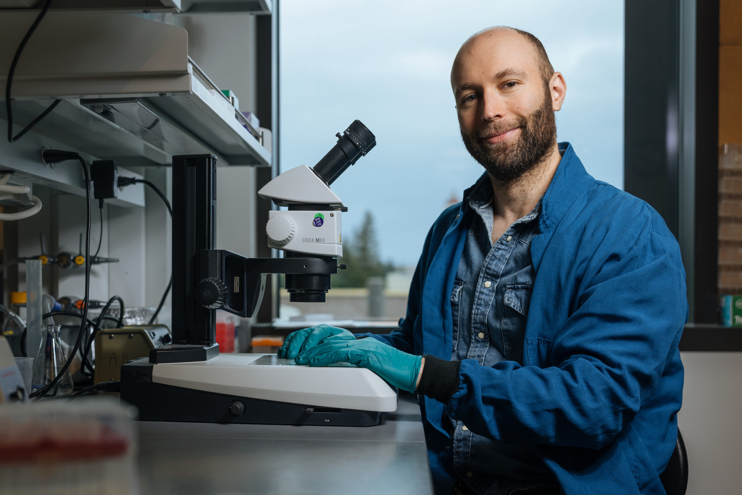 The risks of claiming that sugar feeds cancer | Stanford Report